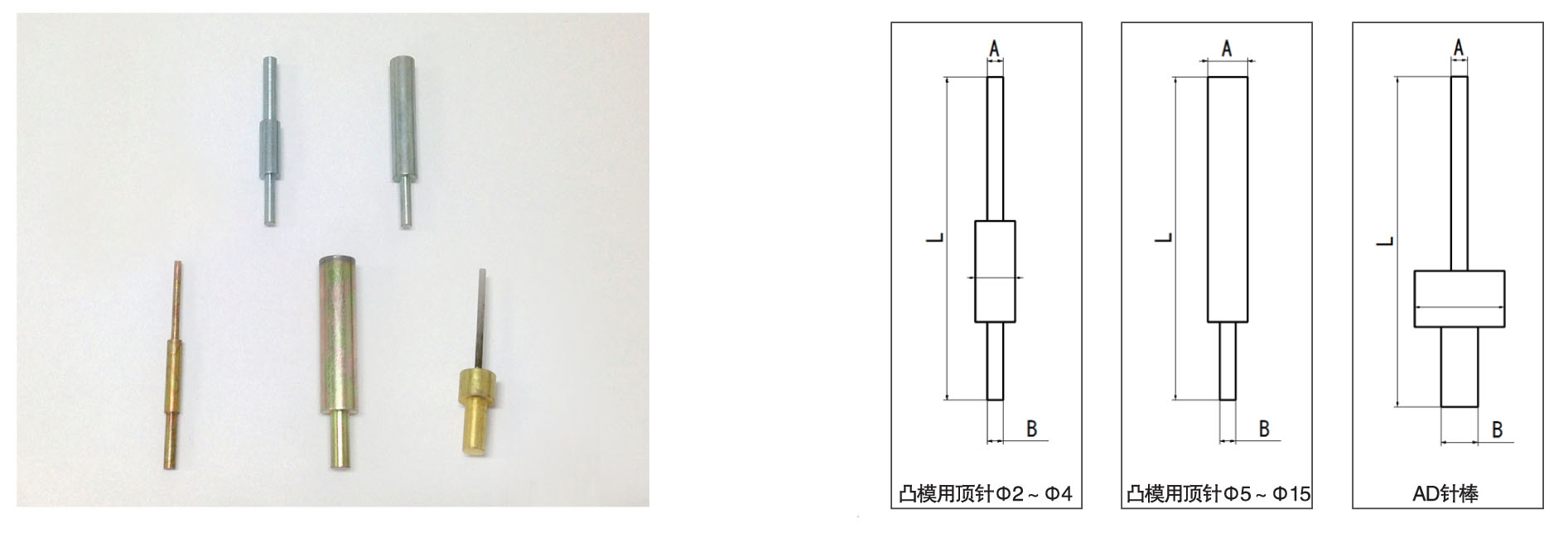 产品展示
